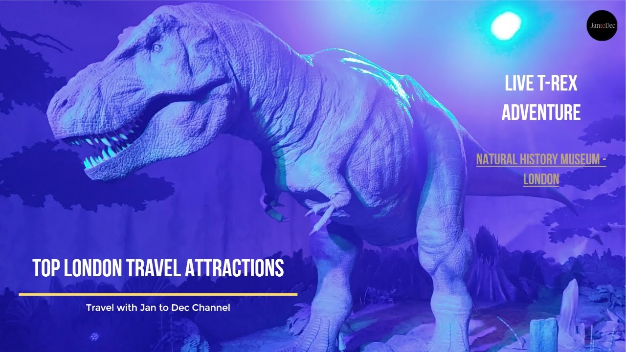 Live T Rex at Natural History Museum | London Travels | Jan to Dec ...