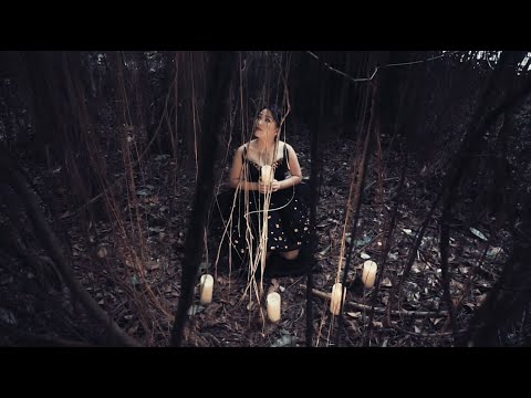 Michelle Vanessa - Pre SweetSeventeen Video