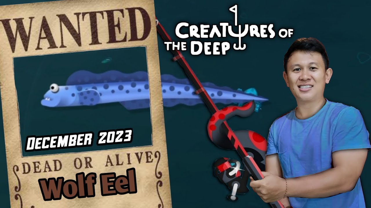 WOLF EEL Hunt December 2023 - Creatures of the Deep Fishing #wolfeel ...