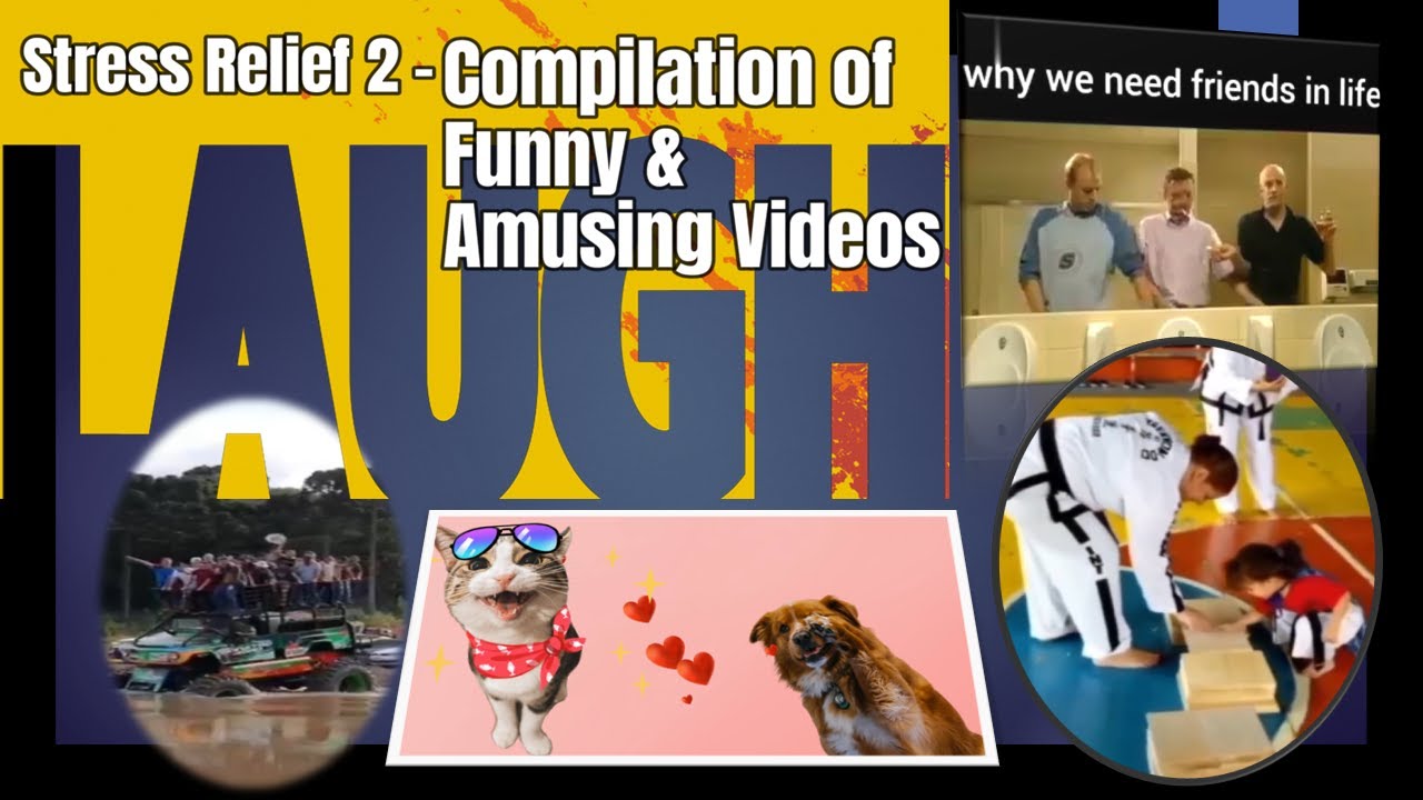 Stress Relief 2 - Compilation of Funny & Amusing Videos - YouTube