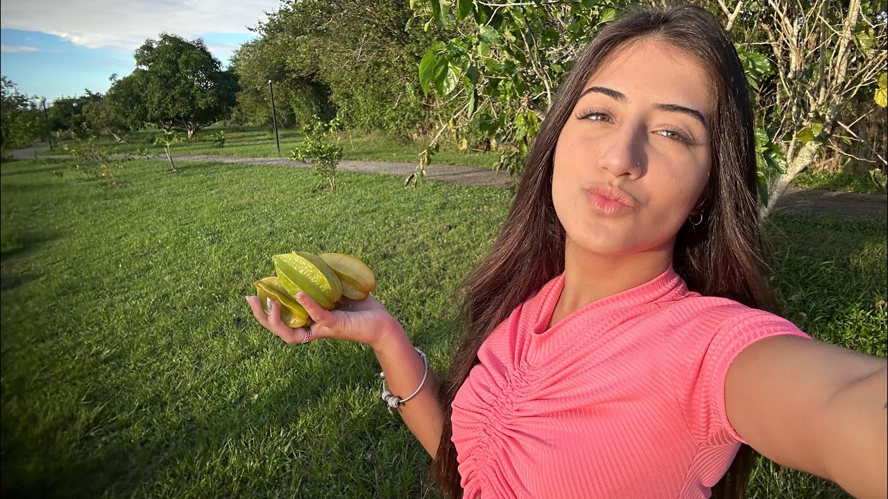 Vlog Pegando Fruta No Condomínio Youtube