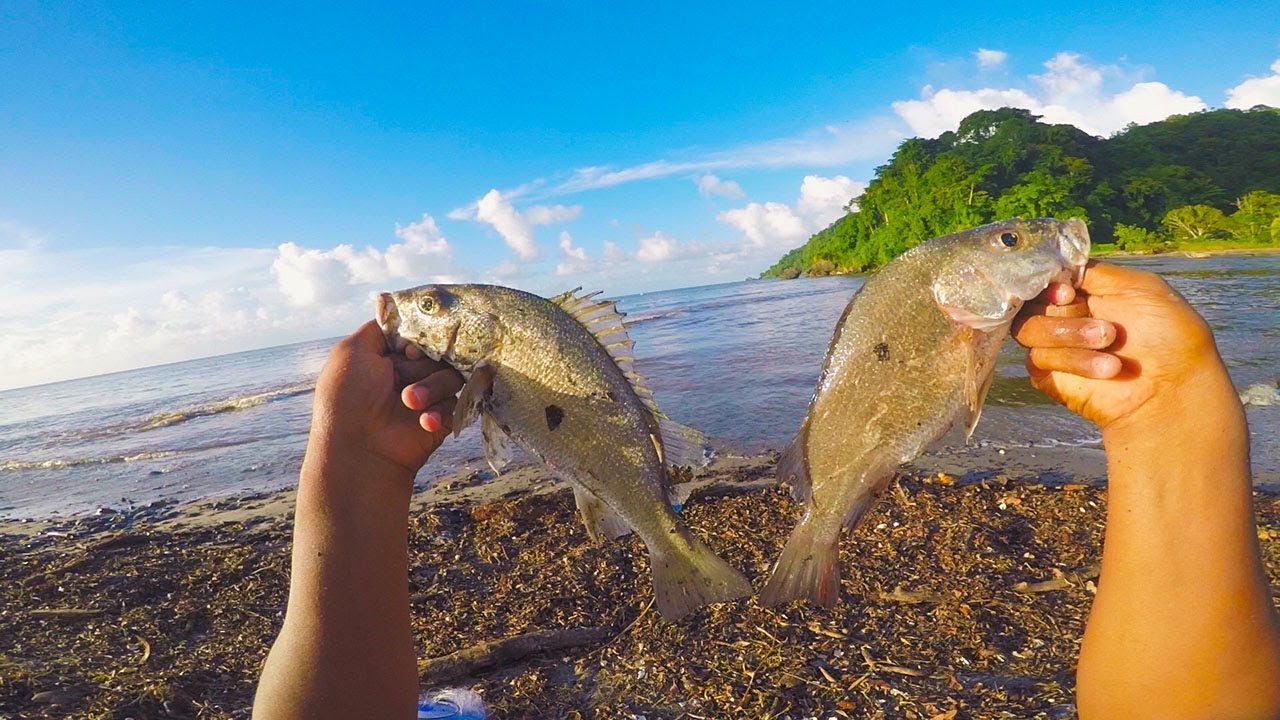 Surf Fishing With E-Z Throw Cast Net - YouTube