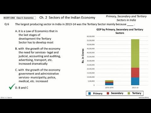 2.54 Class10 NCERT CBSE Economics Ch 2 Primary Secondary and Tertiary ...