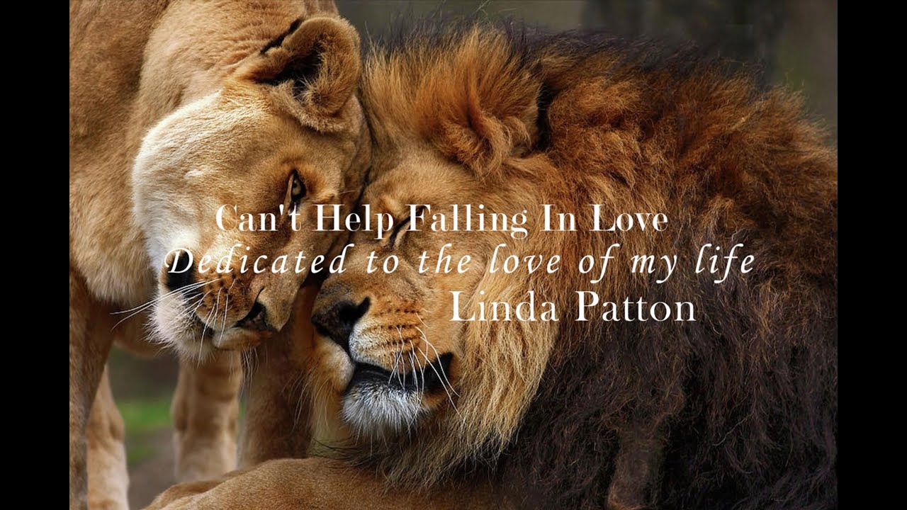 I Can't Help Falling in Love With You by Ted Patton - YouTube