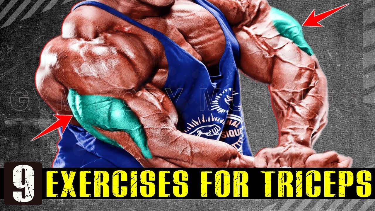 9 Effective Tricep Exercises for Bigger Arms - Gym Body Muscles - YouTube