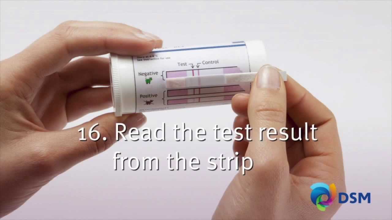 Détection des antibiotiques dans le lait : DELVOTEST® BLF test rapide ...