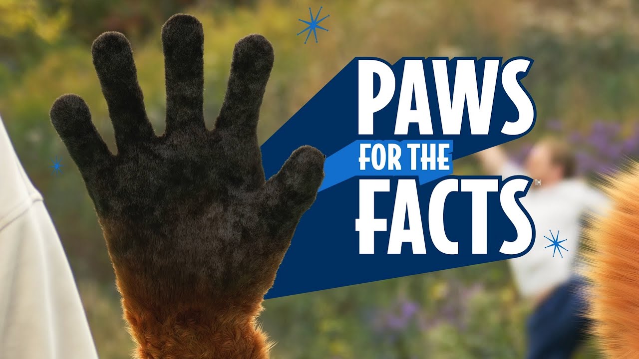Fetch: Paws for the Facts (full version) - YouTube
