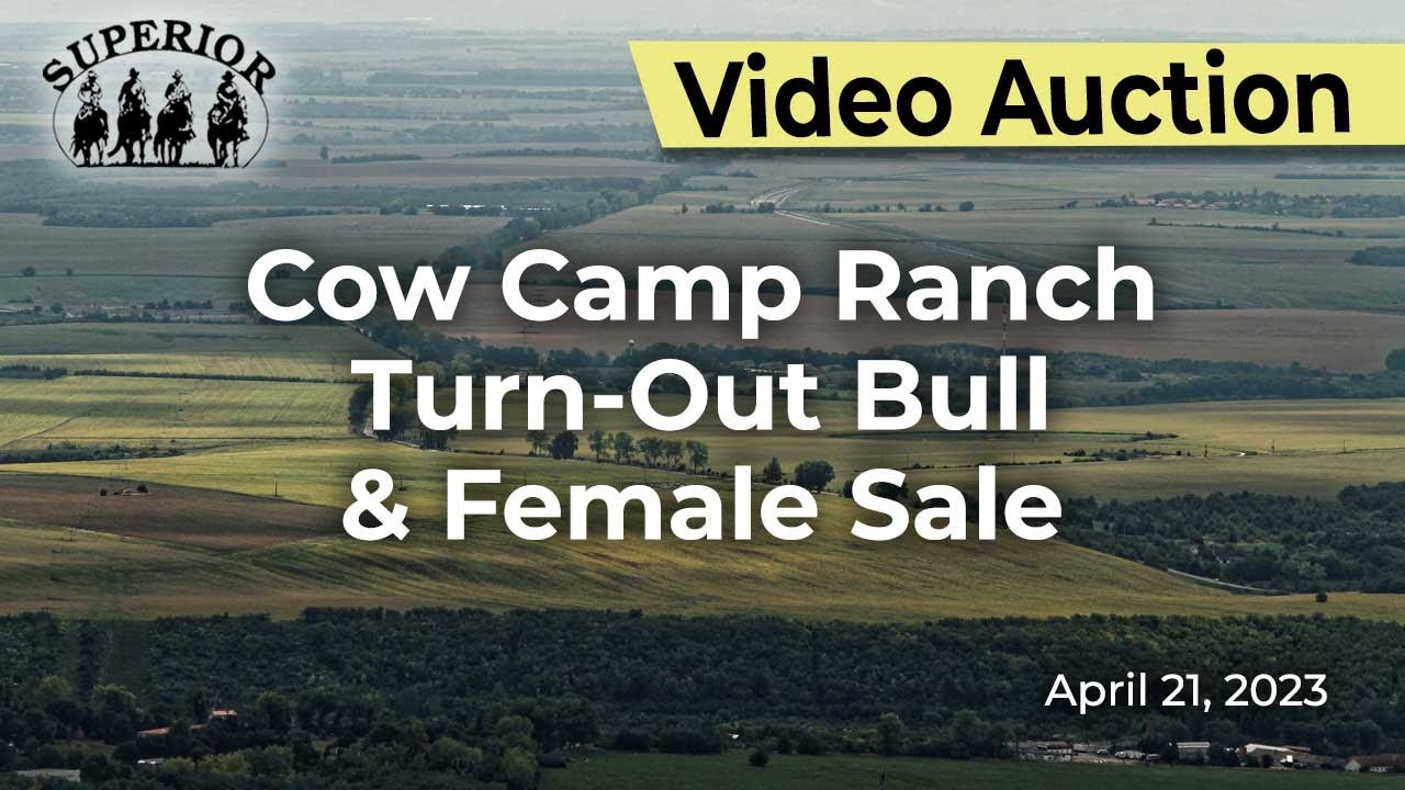 Cow Camp Ranch - YouTube
