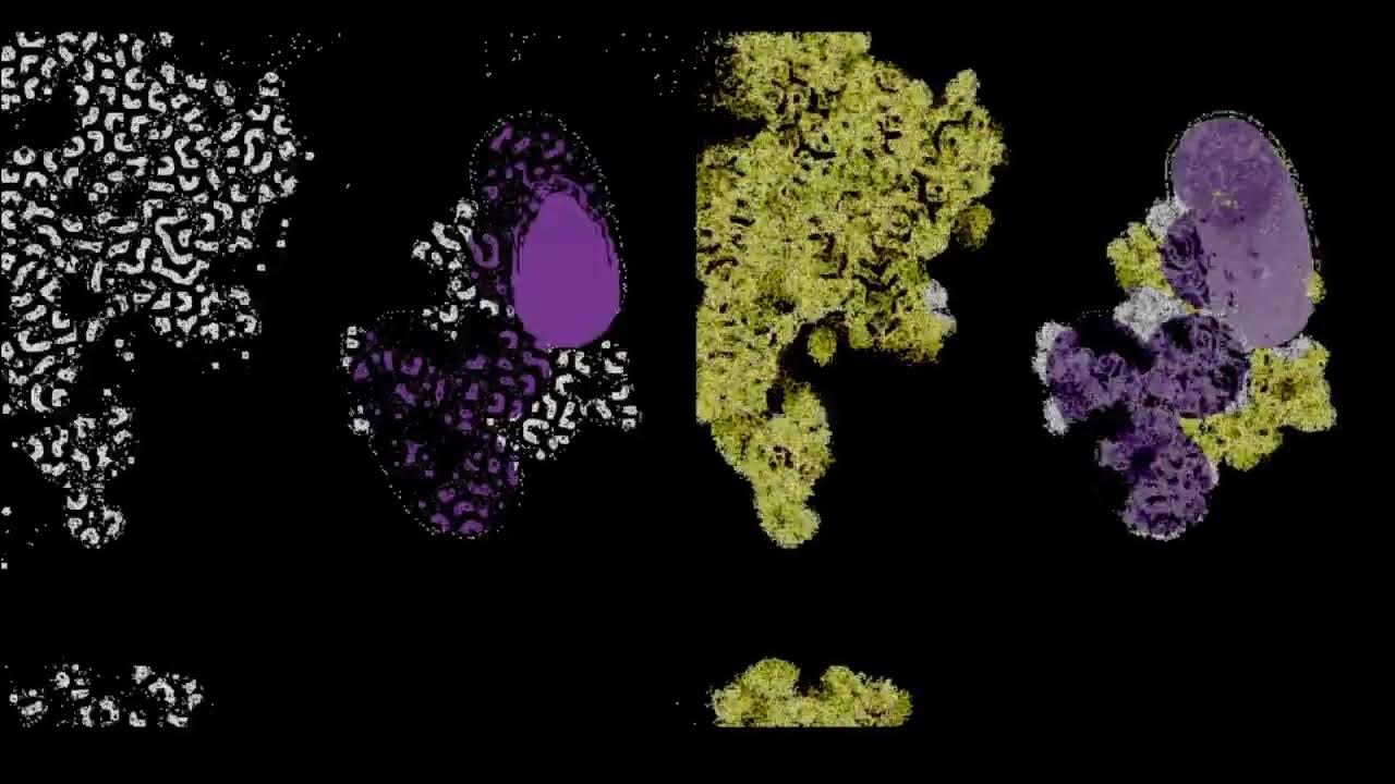 Multiple Neighborhood Cellular Automata #Exp 5 - YouTube