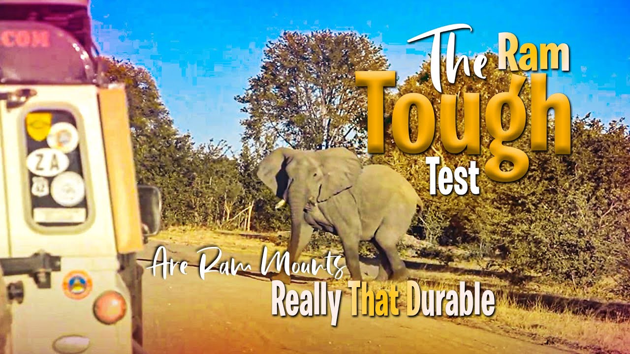 The Ram Tough Test: Are Ram Mounts Really That Durable? @rammount_sa ...