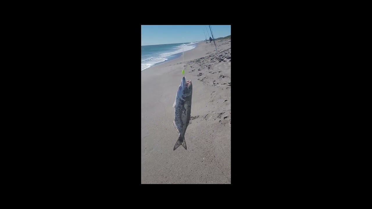 Cool weather fishing at Cocoa Beach, Pompano, Drum, Bluefish, and ...