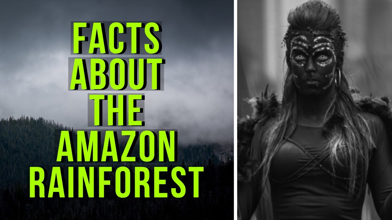 TOP 15 FACTS ABOUT THE AMAZON RAINFOREST! 2019 - YouTube