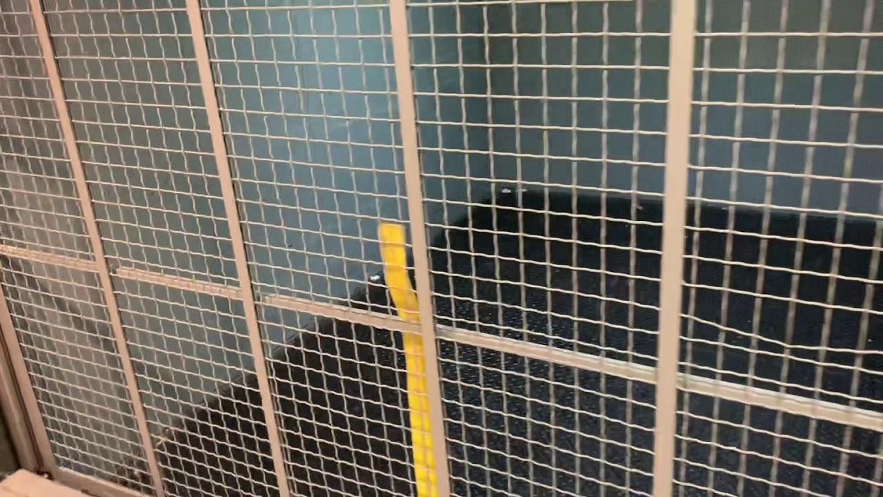 ThyssenKrupp hydraulic freight elevator at an undisclosed location ...