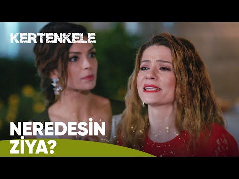 Ziya hoca ortadan kayboldu! - Kertenkele 5. Bölüm