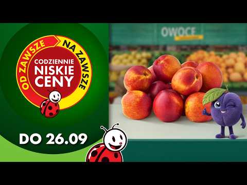Gang Świeżaków zaprasza | Od zawsze na zawsze | Codziennie niskie ceny!