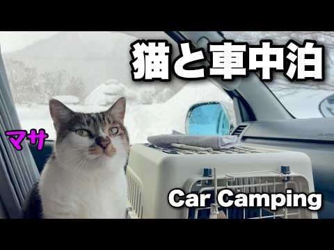 Kediyle araba kampı gezisi | Her yer karla kaplı