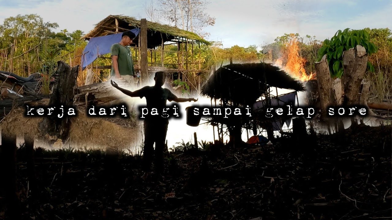 Atap pondok selesai kerja dari pagi hingga gelap sore warta petani muda ...