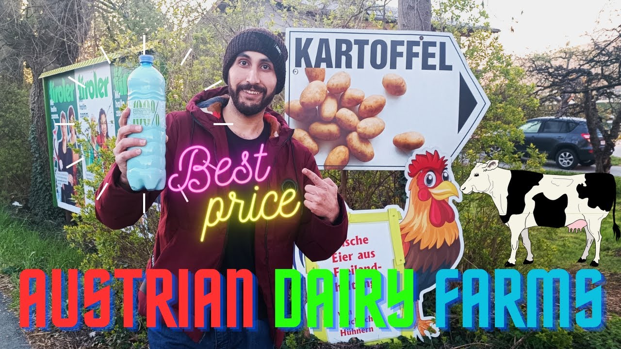 Visiting The Austrian Dairy Farms || Purchasing Cheapest Milk - YouTube