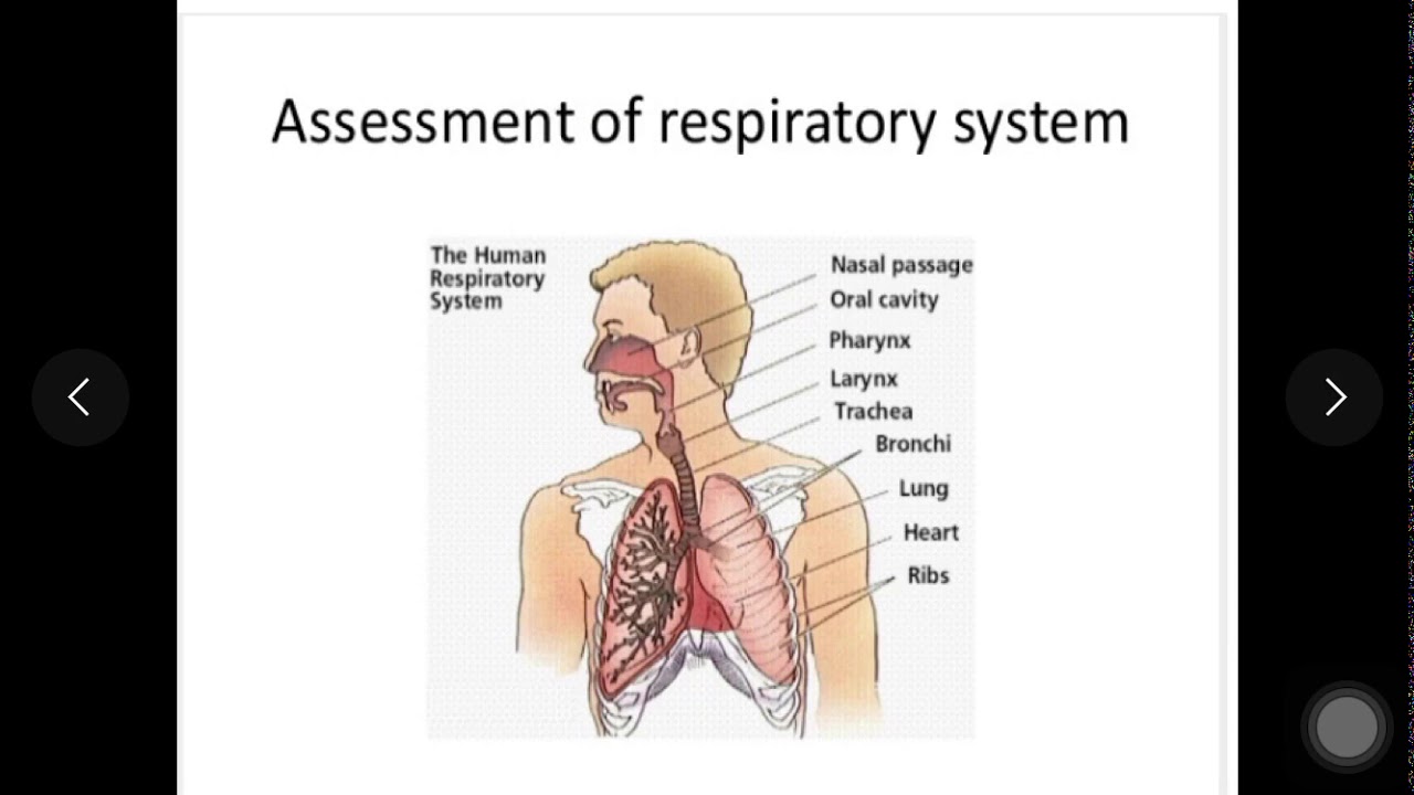 Assessment Of Respiratory Function YouTube assessment-of-respiratory-function-youtube