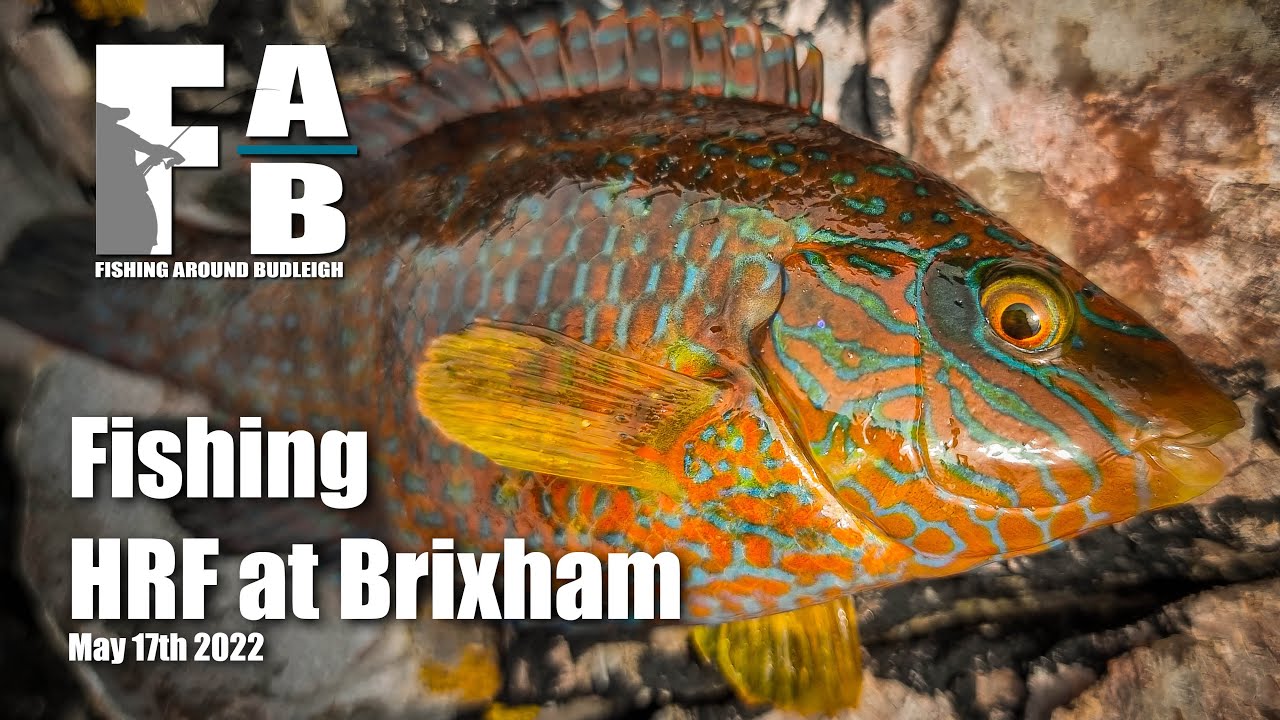 HRF Fishing at Brixham - May 17th 2022 - YouTube