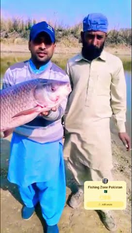 Catching big Marakh Fish - YouTube