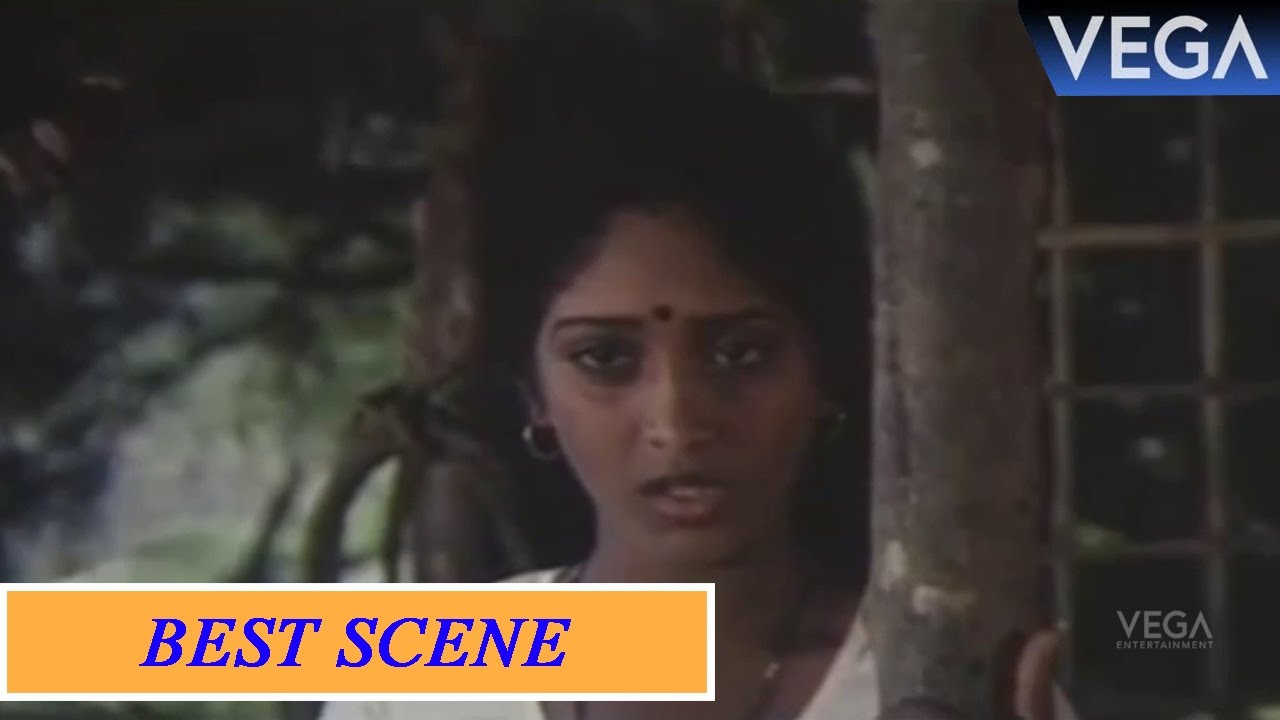 Sunitha Meets Mammootty and Tells Her Past || Mrugaya Movie Scenes ...