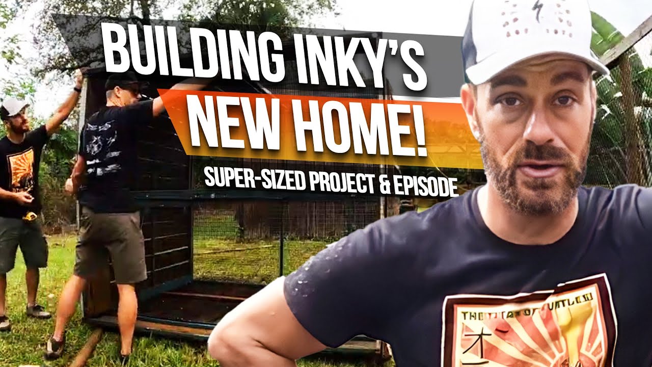 We BUILT a New Habitat for INKY! - YouTube
