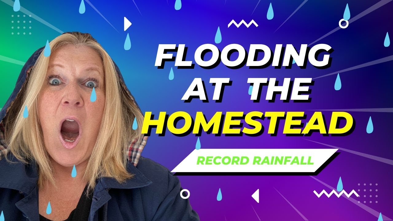 First Time Flash Flooding on the Aussie Homestead - YouTube