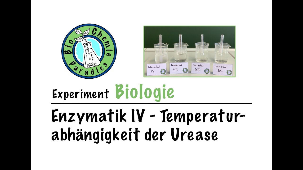 Experiment Biologie – Enzymatik IV – Temperaturabhängigkeit der Urease ...