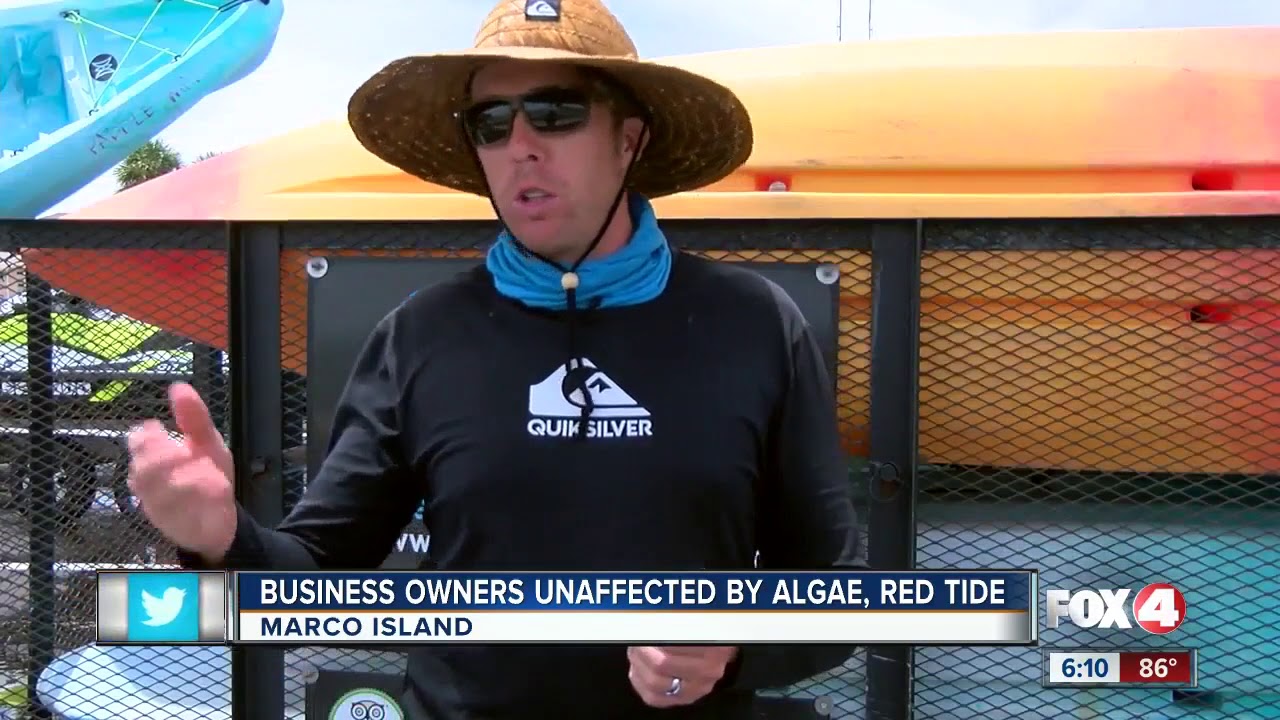 Marco Island dodges algae and red tide - YouTube