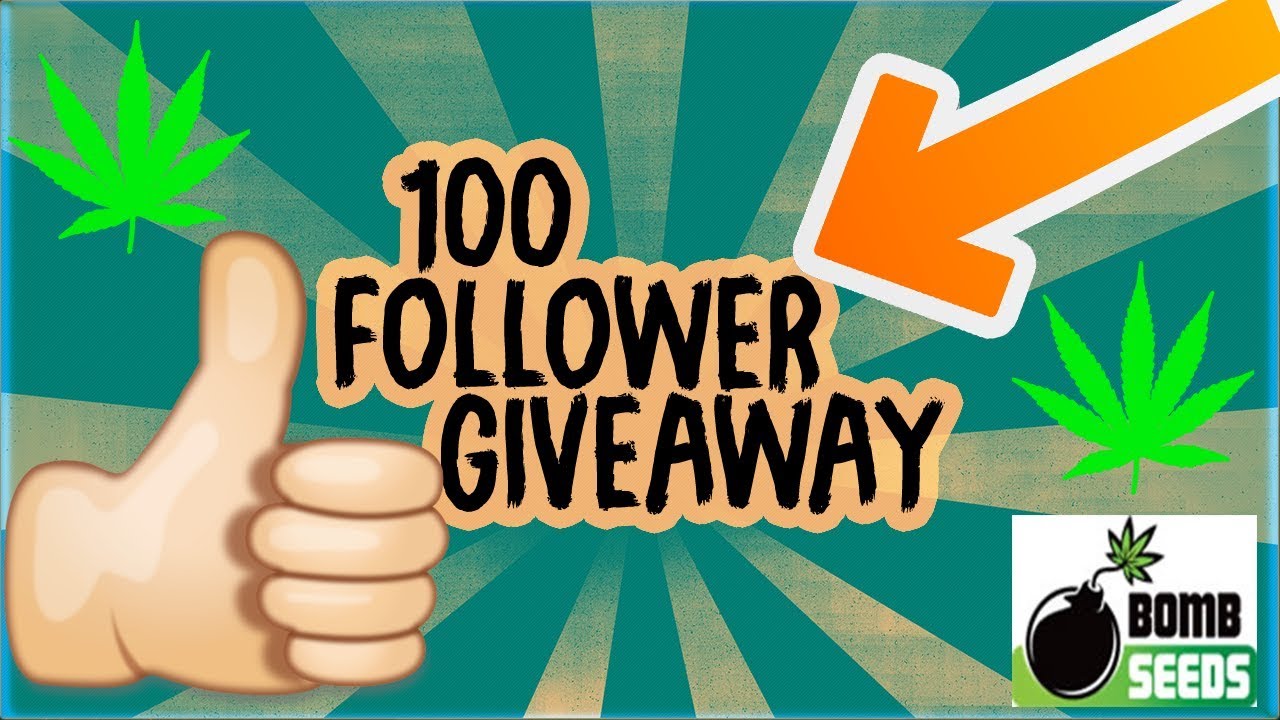 100 Follower Instagram Giveaway - YouTube