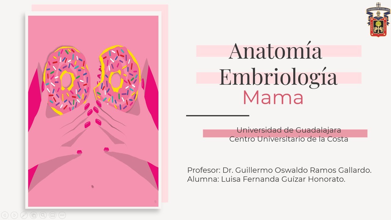 Anatomía y embriologia de mama - YouTube