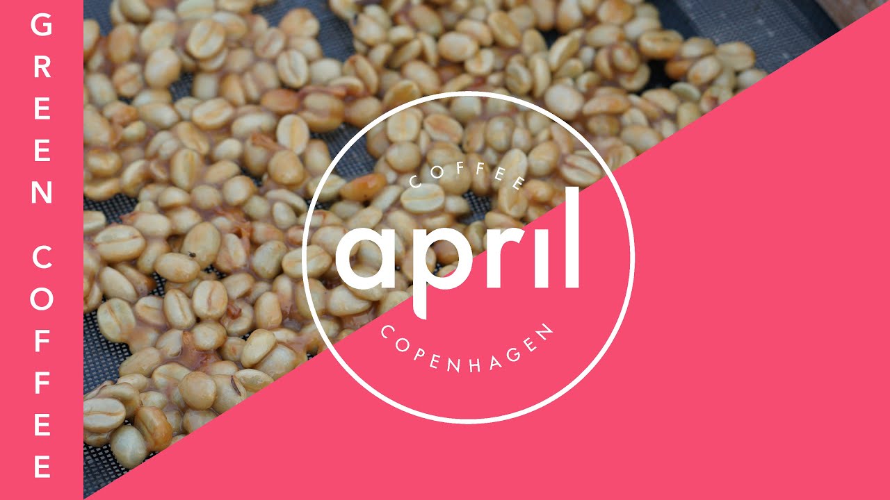 Reflections on Processing in Specialty Coffee | Coffee with April #250 ...