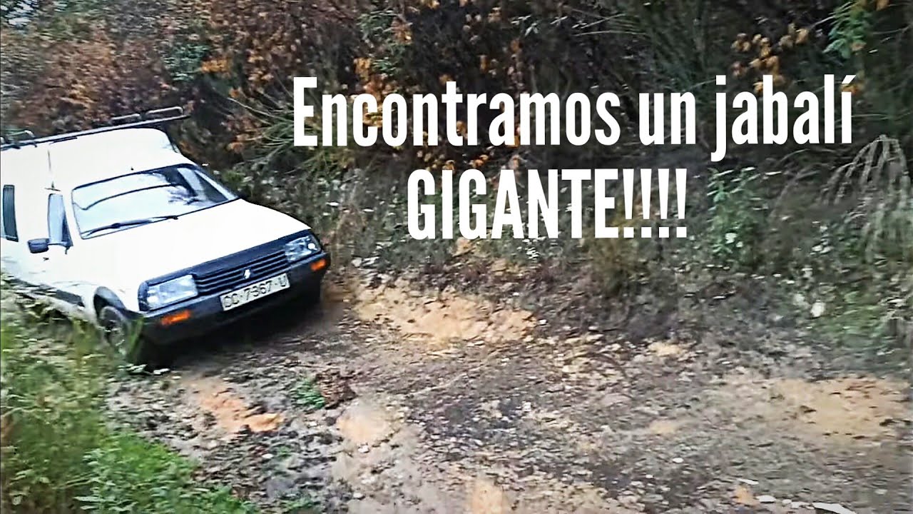Rally con la Citroën C15 de FELI + Un JABALÍ gigante + Metemos la pata ...