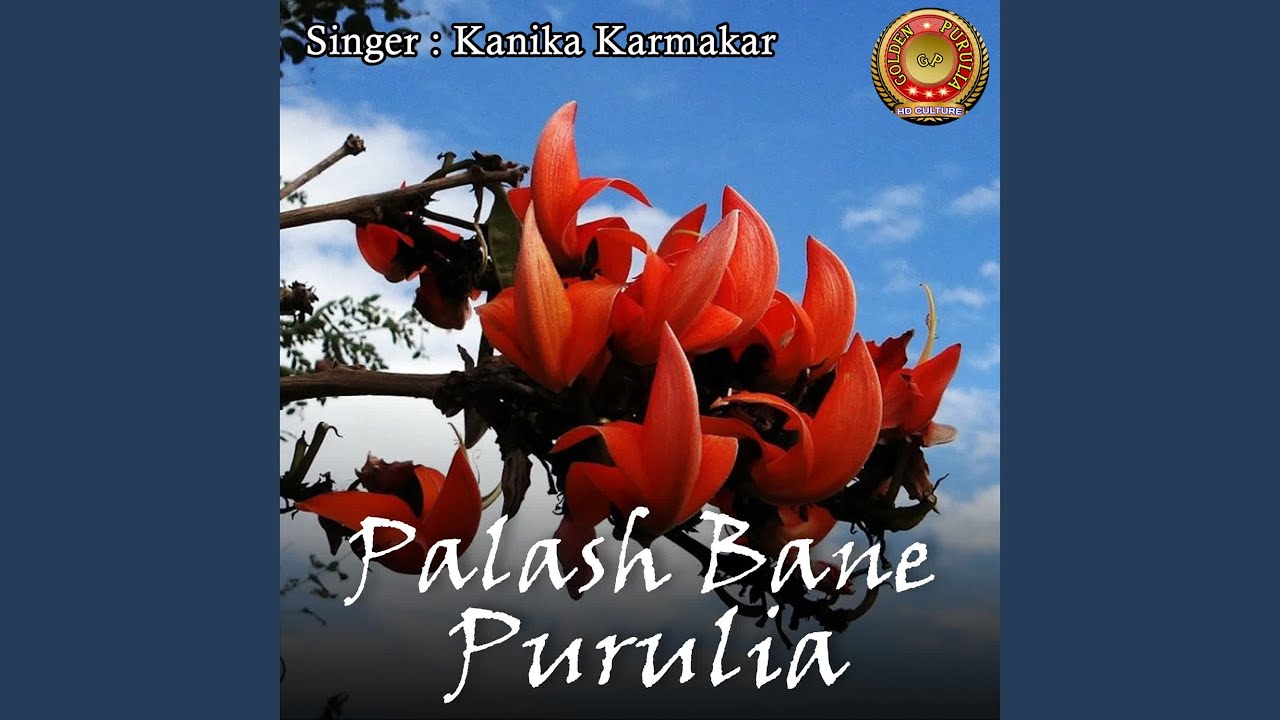 Palash Bane Purulia - YouTube