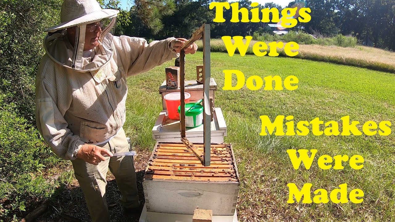 Beekeeping Decisions | Resulting Mistakes | Mites & Robbing - YouTube