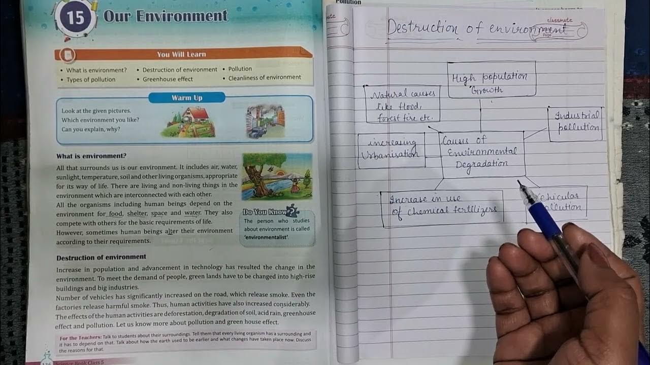 Chapter-15 Our Environment (class 5th) science - YouTube