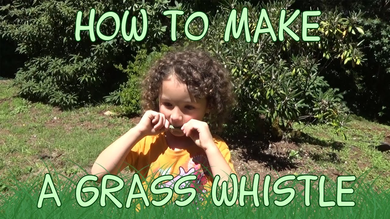How to make a grass whistle - YouTube
