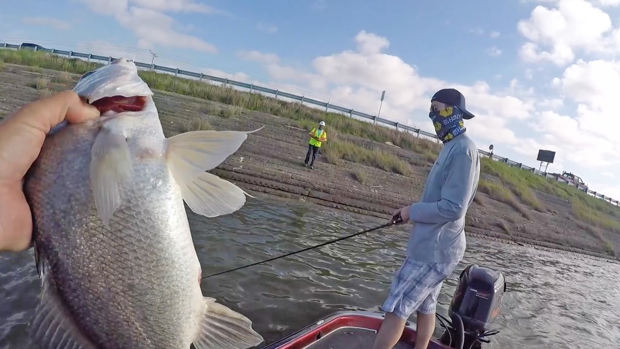 Giving a Man a Fish - YouTube