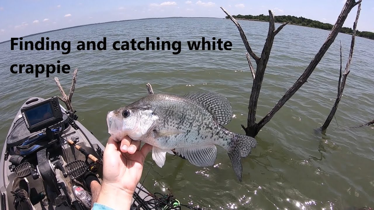 How to find and catch white crappie on a lake with both species! Slabs ...