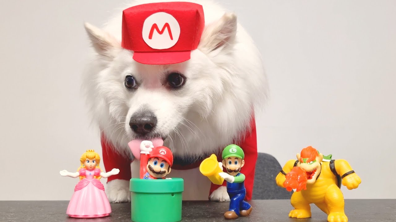 Super Mario DOG Bros - YouTube