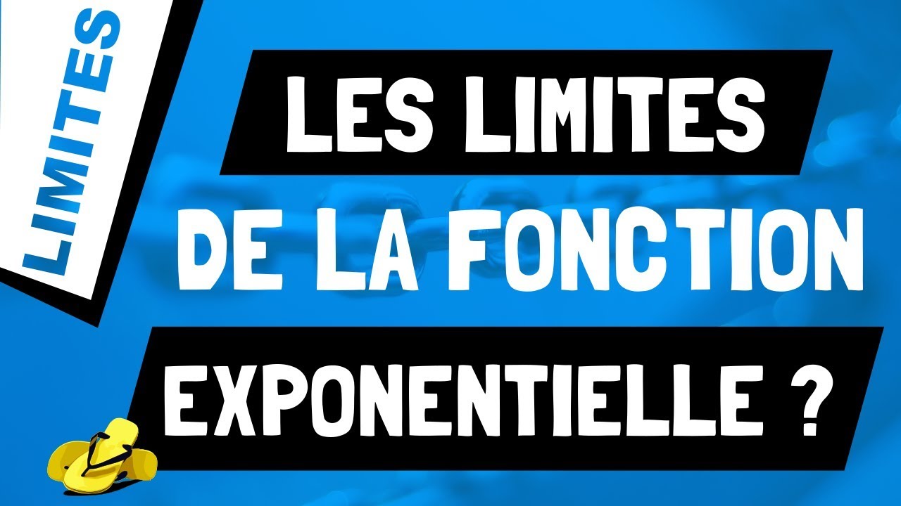 Que faut-il savoir sur les limites de la fonction exponentielle, e^x ...