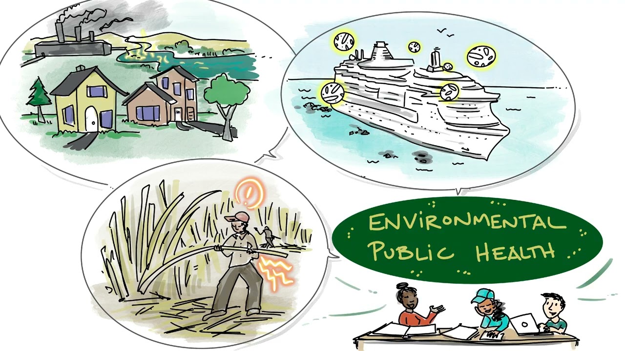 Environmental Public Health Concentration - Bachelor of Science in ...
