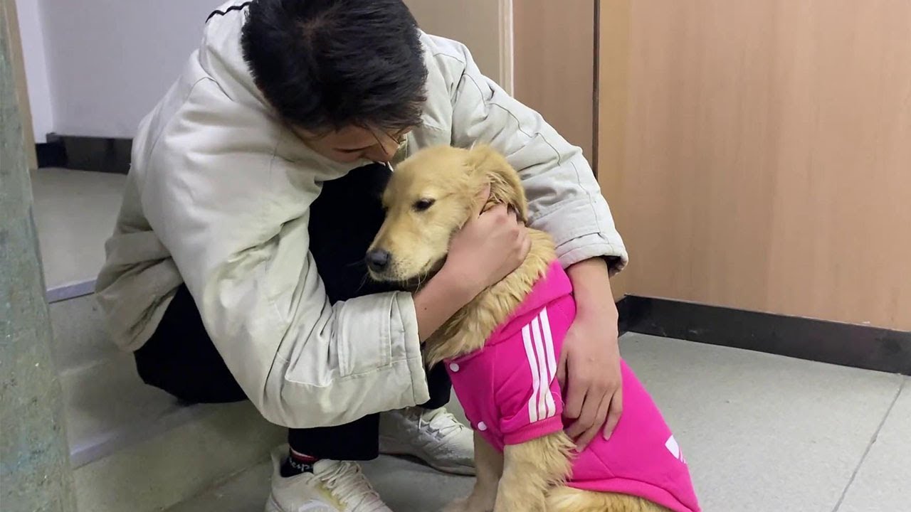 ”I Miss You” The Rescued Disabled Dog Got Into The Arms Of Its ...