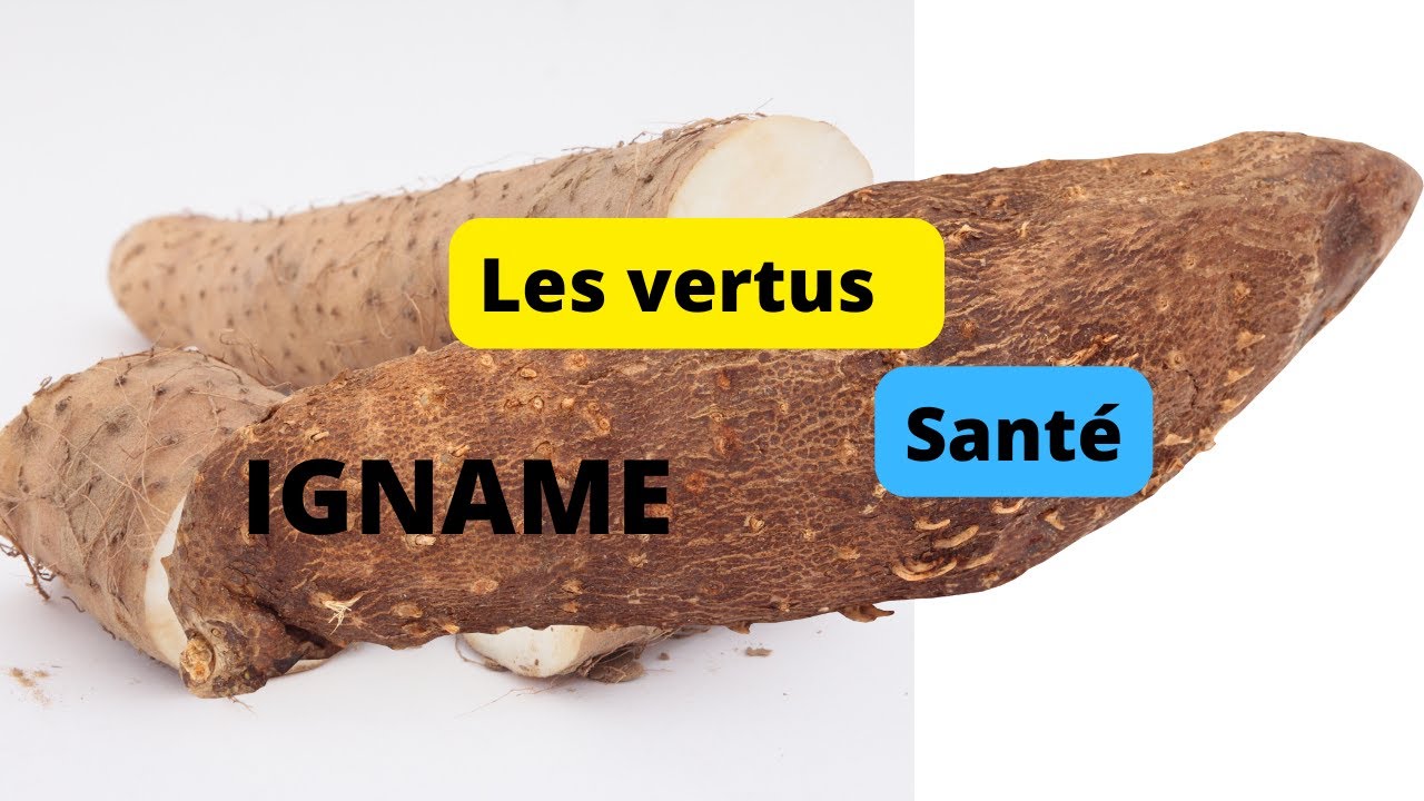 Voici "Les grandes vertus santé " de l'Igname ou Yam - YouTube