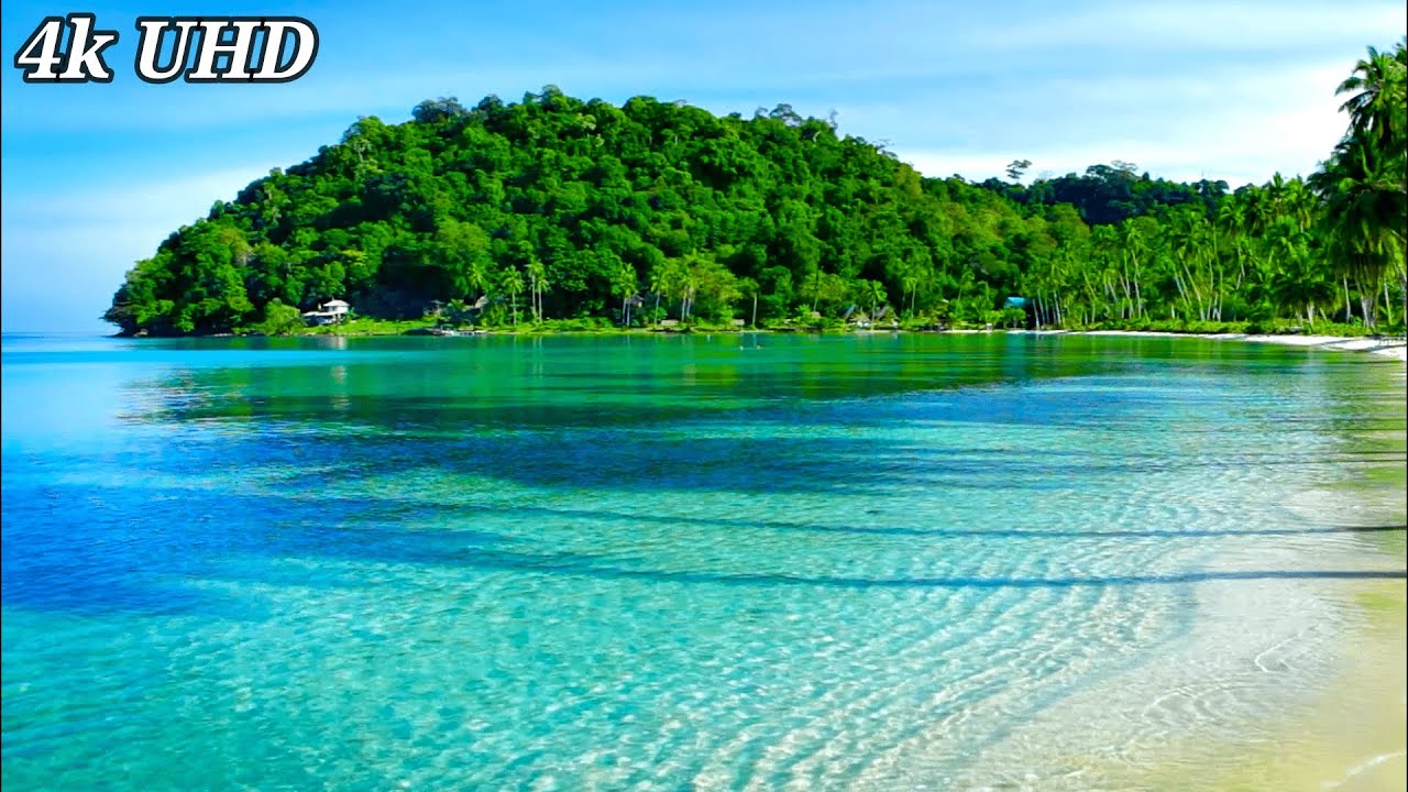 4k UHD Paradise Beach, Nature Sounds. Tropical Beach Waves, Ocean ...