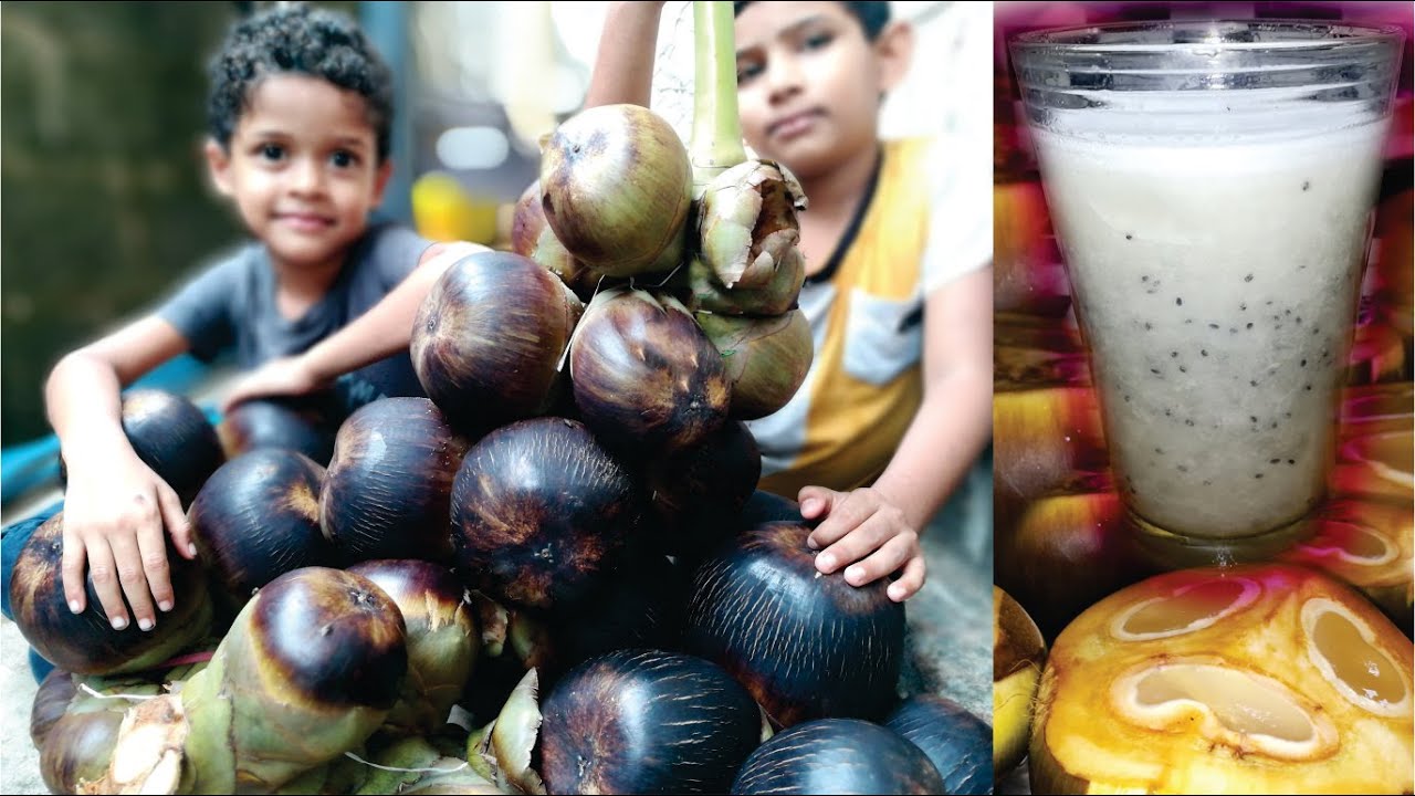How to Cut Palmyra Fruit & Palm Juice | நுங்கு வெட்டும் சரியான முறை ...