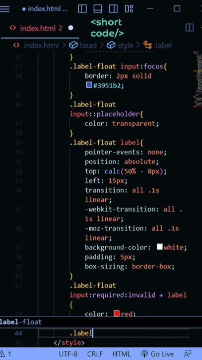 Animation Input Floating Label Html Css Youtube