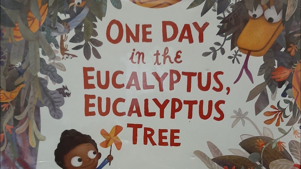 One Day in the Eucalyptus, Eucalyptus Tree - YouTube