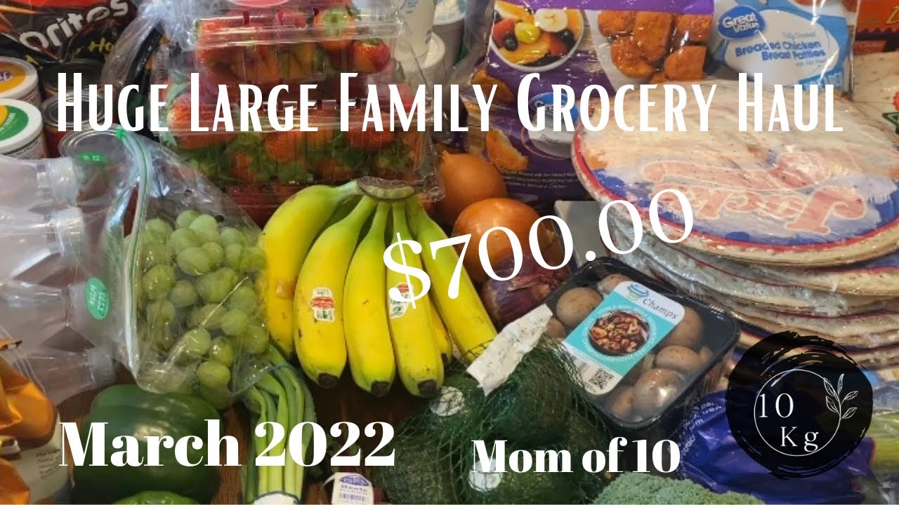 Large Family HUGE Grocery Haul | March 2022 | Discount Prices | Mom of ...